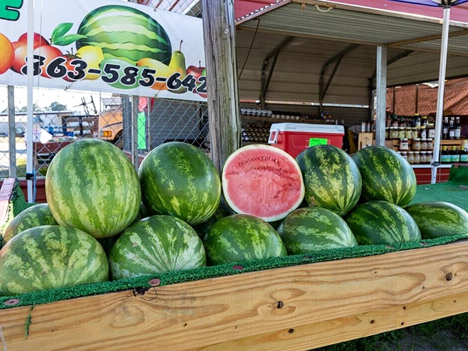These aren't just watermelons—they're summer's sweetest promise, cut open to reveal nature's candy in a shade of red that makes your mouth water.