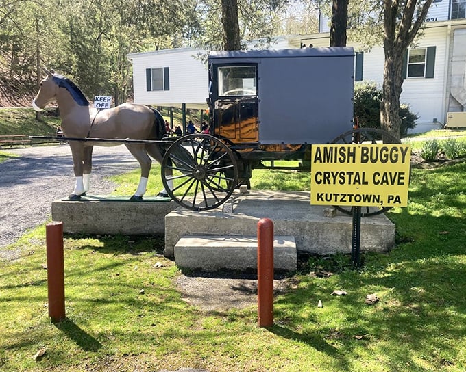 Another horse-and-buggy display – because nothing says "timeless attraction" quite like transportation that never needed a charging station.
