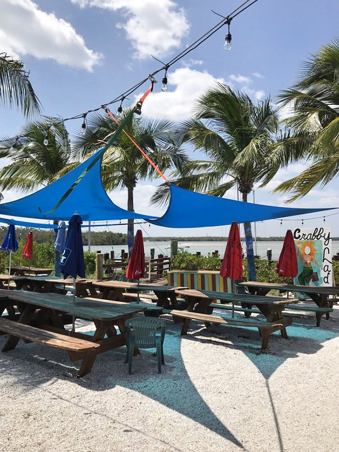 Blue skies, palm trees, and picnic tables by the water – Mother Nature's dining room with Crabby Lady providing the feast.