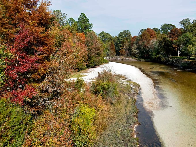 Fall foliage along the Withlacoochee River proves Florida has seasons too—they're just more subtle, like a whispered secret rather than a shouted announcement.