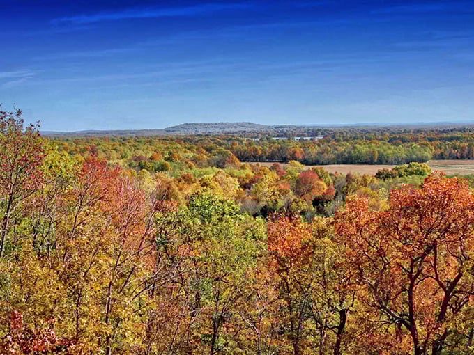 Fall foliage in Arkansas rivals New England's famous display, but without the tour buses and inflated hotel rates – nature's free show for locals.