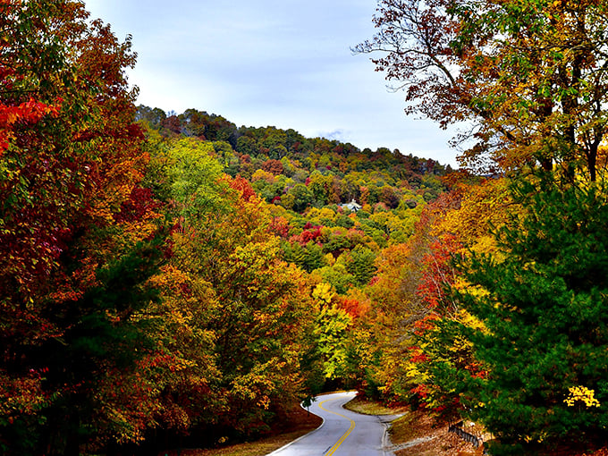 Fall foliage in Arkansas doesn't charge admission—Newport residents enjoy nature's most spectacular show from their affordable front porches.