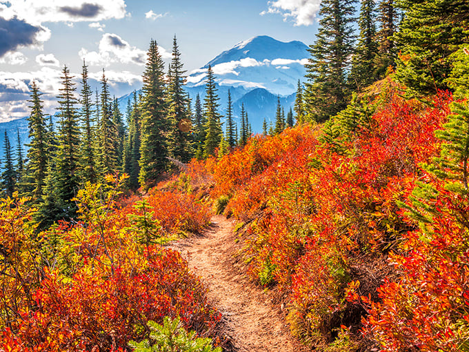 The surrounding forests offer hiking trails ablaze with autumn color, proving that California's seasonal changes can be just as spectacular as New England's—just with better weather.