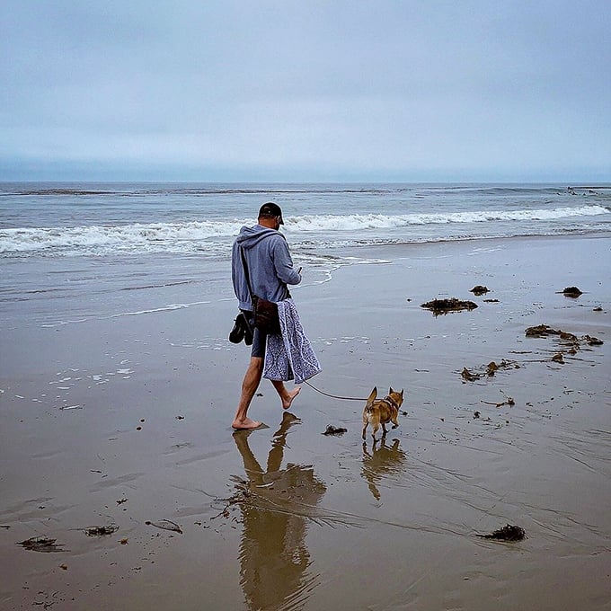 Morning walks with four-legged friends create the best footprints in the sand. The north beach welcomes dogs, making tails and spirits soar.