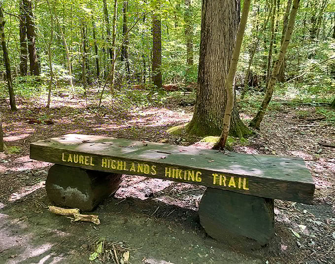 The Laurel Highlands Trail bench – nature's invitation to sit a spell and contemplate absolutely nothing or absolutely everything.
