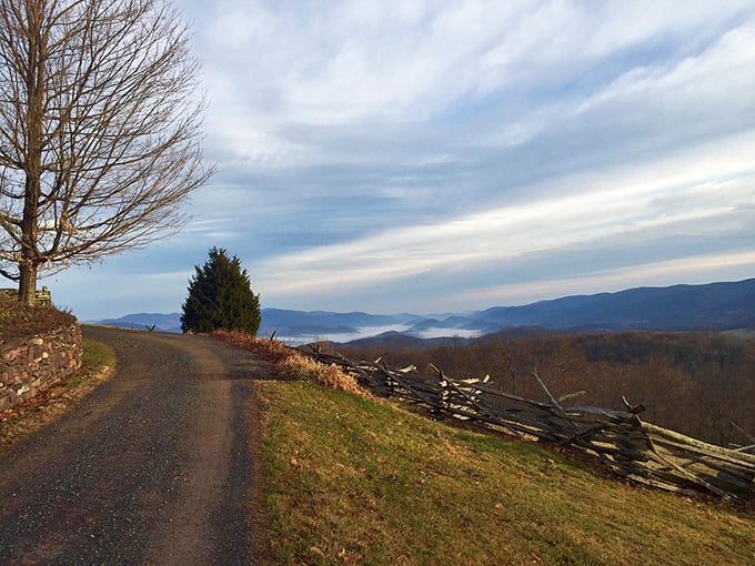Country roads like this don't just take you home—they take you back in time. Morning mist in the valleys below looks like dreams taking shape.