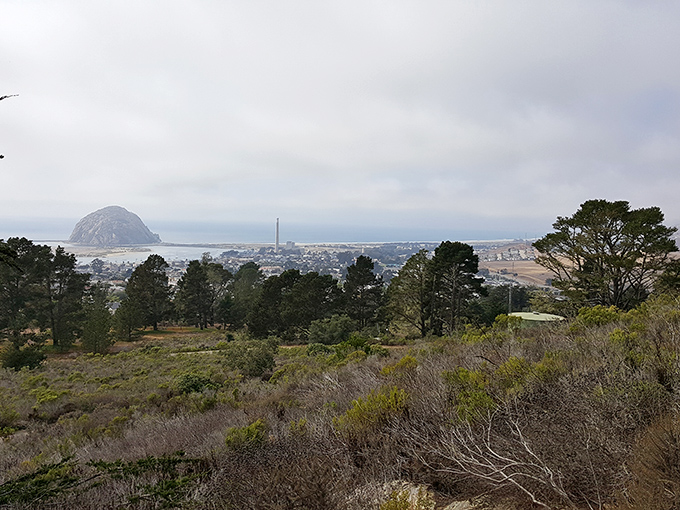 From Black Hill Trail, Morro Bay reveals itself like a miniature model village, with that famous rock standing sentinel over it all.