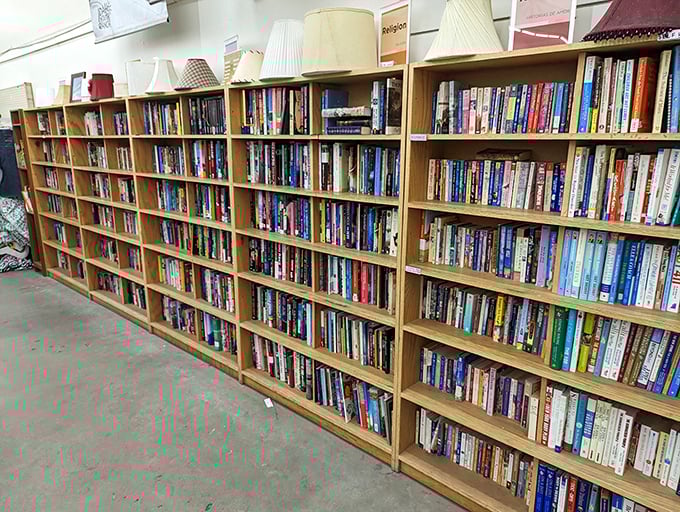 Bookworms beware—you could lose hours browsing these shelves. From paperback romances to hardcover classics, literary treasures abound.
