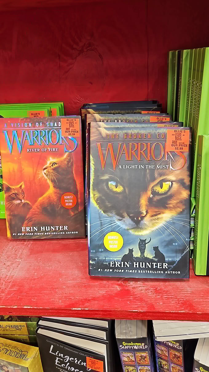 Bestselling book series at jaw-dropping prices. Where else can you get hardcover adventures with bonus posters for less than a fancy coffee?