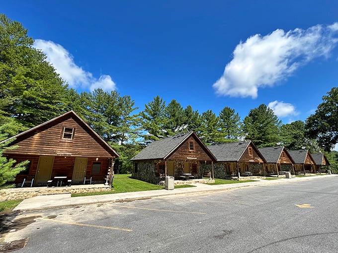 These charming cabins offer a woodland retreat that delivers the peace wealthy urbanites pay thousands for, at a fraction of the cost.