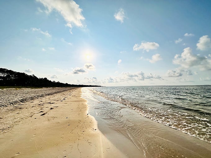 Carrabelle Beach delivers that rare combination – sand soft enough for bare feet and waves gentle enough that your beverage stays upright in its cup holder.