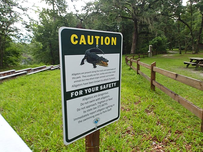 Florida's version of "look but don't touch." When nature posts warning signs, it's usually best to follow the instructions.