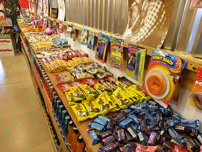 This candy counter display triggers instant childhood regression—suddenly you're eight years old with a pocketful of allowance and permission to choose one treat.