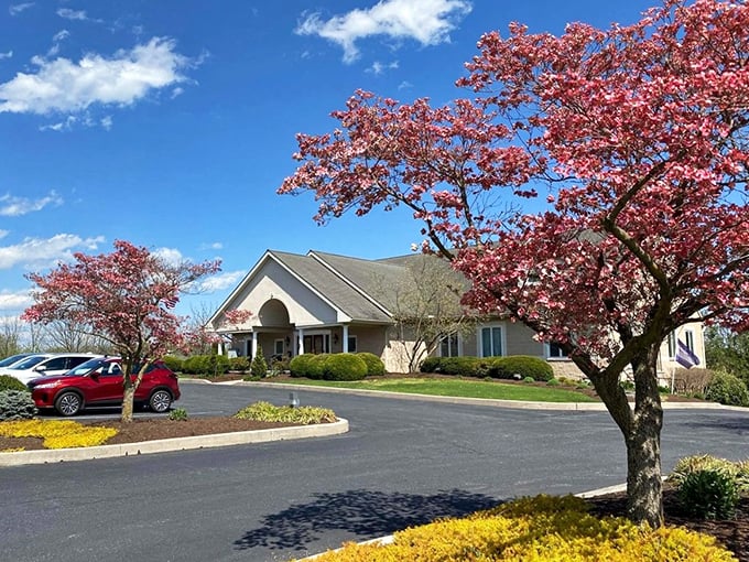 Spring announces itself with pink blossoms framing community buildings. Nature's way of saying "welcome home" with seasonal flair.