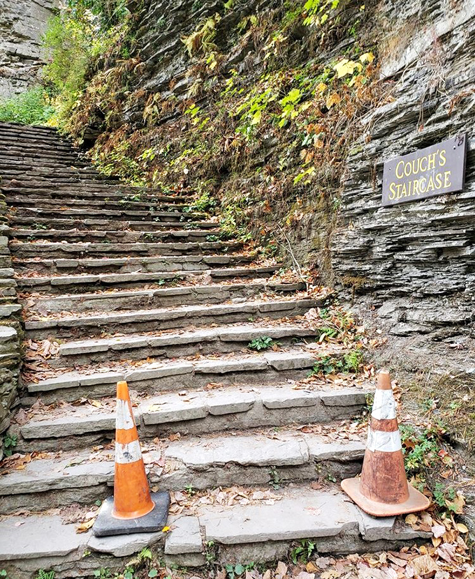 Couch's Staircase invites brave souls to climb toward adventure. Named for someone who clearly never had to carry a picnic cooler up these steps.