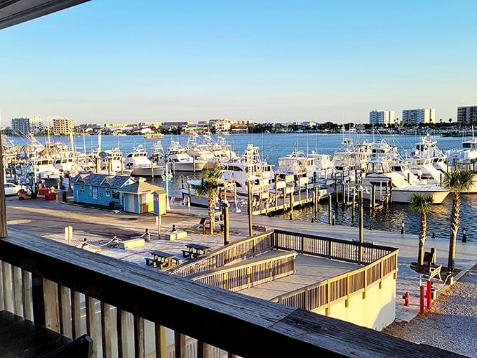 The view that explains everything: fishing boats bobbing in the harbor, ready to deliver tomorrow's catch. This isn't farm-to-table; it's boat-to-plate.