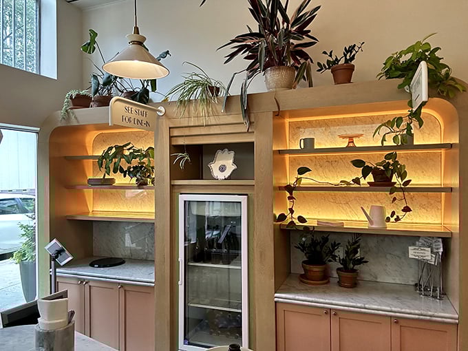 Plants cascade from illuminated shelves, creating a greenhouse effect that makes both the pastries and conversations bloom with equal vigor.
