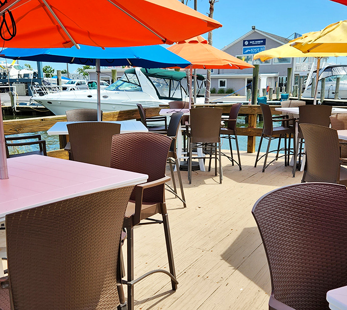 The outdoor deck offers umbrella-shaded sanctuary where boats bob nearby—reminding you exactly where your meal came from just hours ago.