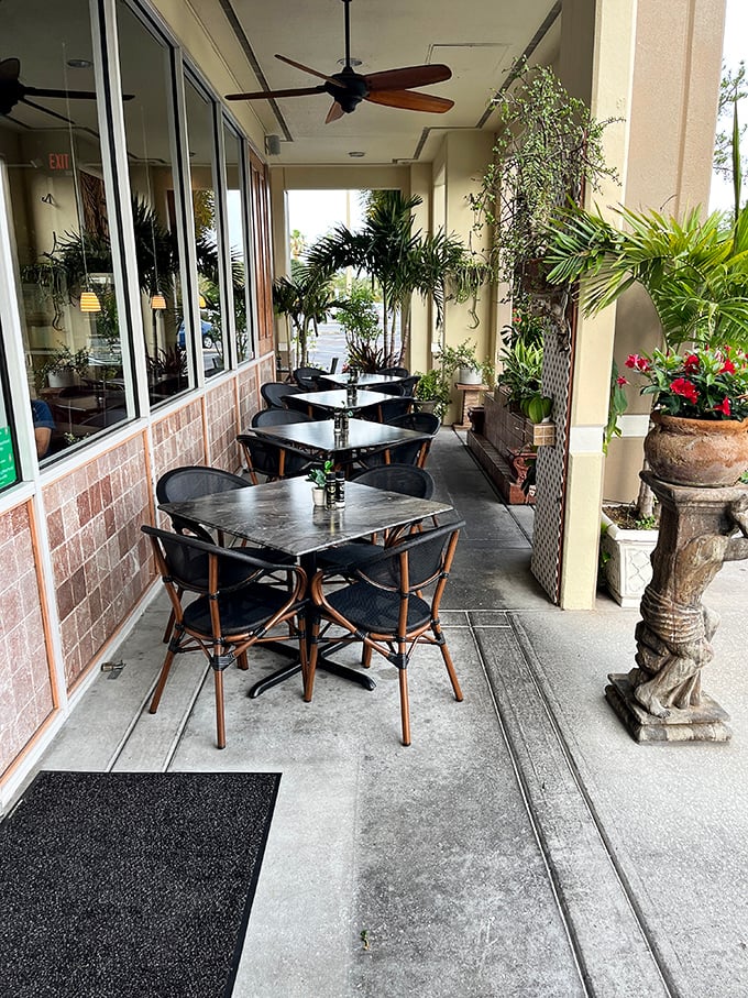 The palm-fringed patio offers Florida's favorite dining amenity—outdoor seating with a gentle breeze and zero pretension.