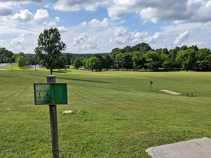 The disc golf course offers recreation with a view – where even a terrible throw becomes a perfect excuse to admire the rolling Tennessee landscape.