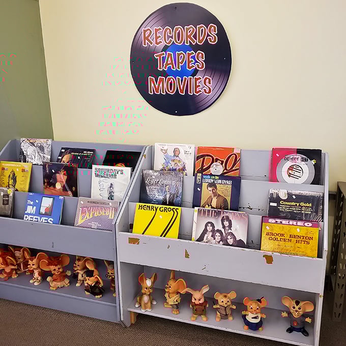 Vinyl records and vintage figurines creating the perfect retro corner – where your childhood memories and hipster aspirations collide beautifully.