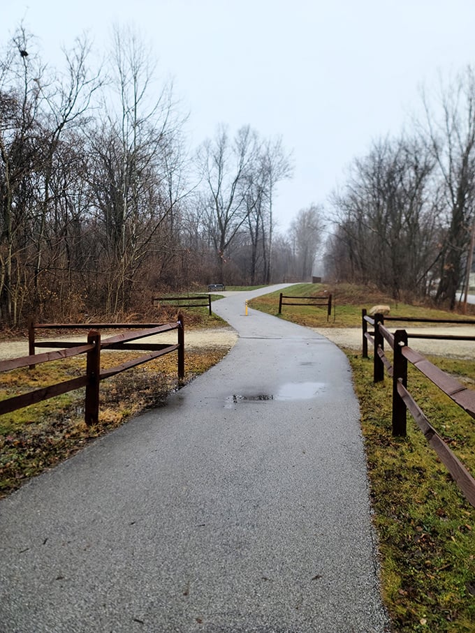 The Erie Trail invites contemplative walks through nature's gallery – no admission fee required, just comfortable shoes and an appreciation for quiet beauty.