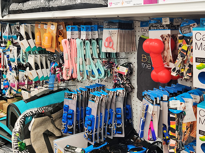 The pet section – where Fido can get fancy without emptying your wallet, and chew toys get their second chance.