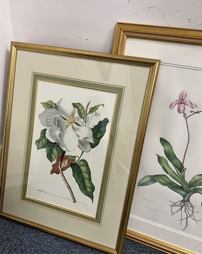 Botanical beauties in gold frames—wall art that once graced someone's living room now waits to bloom again in yours.