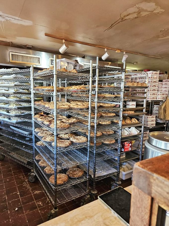 Pie paradise! Each rack holds someone's future food memory – the dessert they'll be telling their friends about for years.