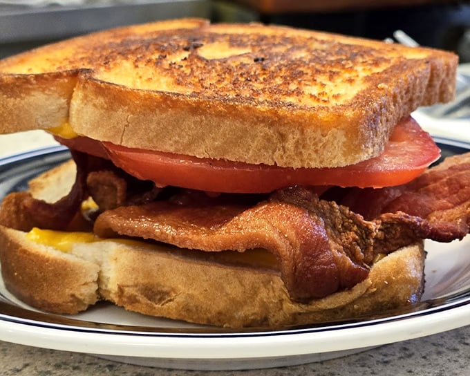 The grilled cheese sandwich—golden, crispy, and oozing with melted perfection—proves that simplicity, when done right, is revolutionary.