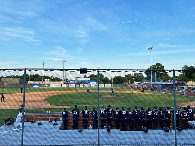 Baseball as it was meant to be enjoyed: intimate, unhurried, and without a $15 beer in sight.