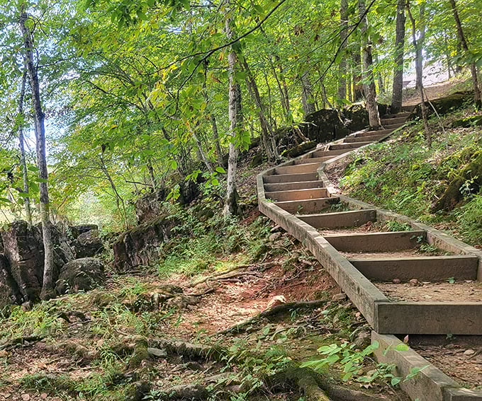 Nature's stairmaster rewards climbers with something better than a gym selfie—a winding path through ancient rocks and whispering trees that actually makes you forget you're exercising.