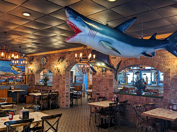 That shark suspended from the ceiling isn't just decor—it's a reminder that you're at the top of the food chain tonight.