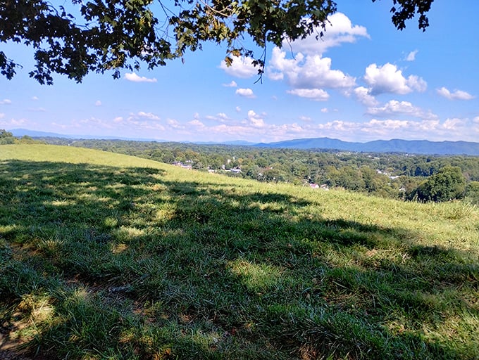 Rolling hills stretch toward distant mountains, offering a view that no smartphone panorama could ever truly capture—Tennessee's landscape at its most poetic.
