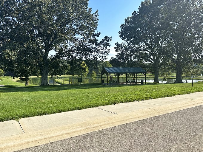 McCabe Park's serene lakeside pavilion offers the perfect spot for contemplating life decisions or just enjoying a peaceful afternoon nap.
