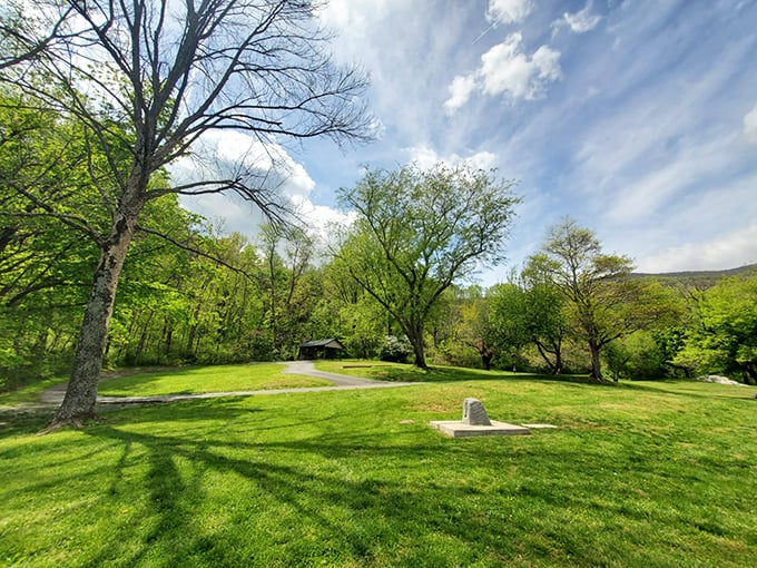 Park greenspace offers breathing room under towering trees, where nature's gym equipment comes free with mountain views included.