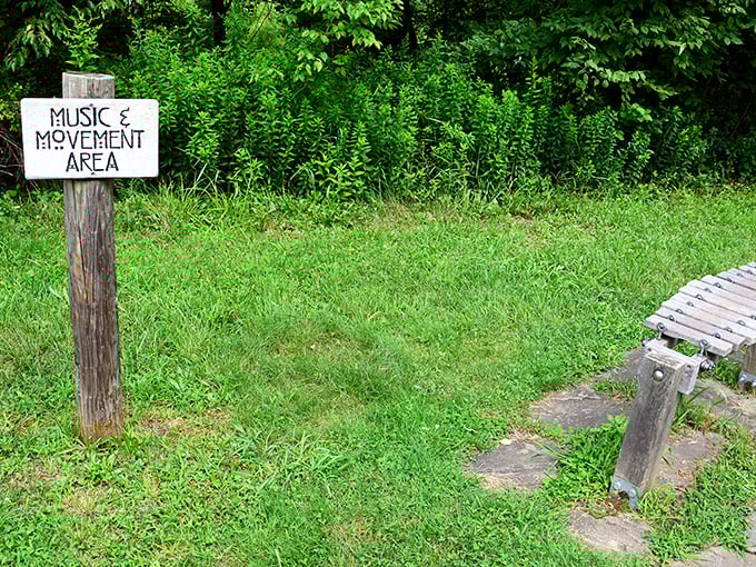 "Music & Movement Area" proves Pennsylvania parks understand the rhythm of relaxation. Nature provides the soundtrack; you bring the dance moves.