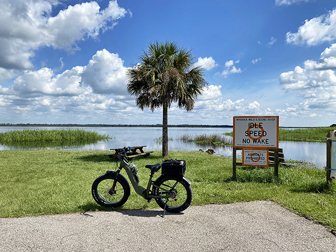 Idle speed, no wake – words to live by, both on Myakka's pristine waters and perhaps in life generally.