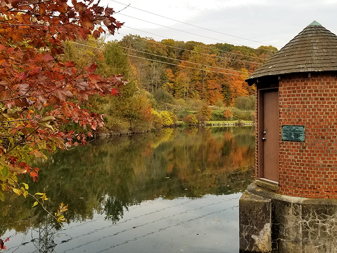 Nannahagen Park's autumn colors transform an ordinary walk into a soul-restoring journey through nature's most vivid seasonal artwork.