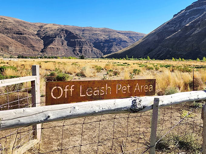 Even Fido gets to experience off-leash freedom here, where the squirrel-chasing possibilities seem endless.