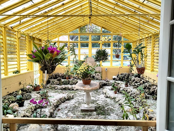 The sunny yellow orchid greenhouse houses delicate blooms that seem to float in the air—nature's jewelry box opened for public viewing.