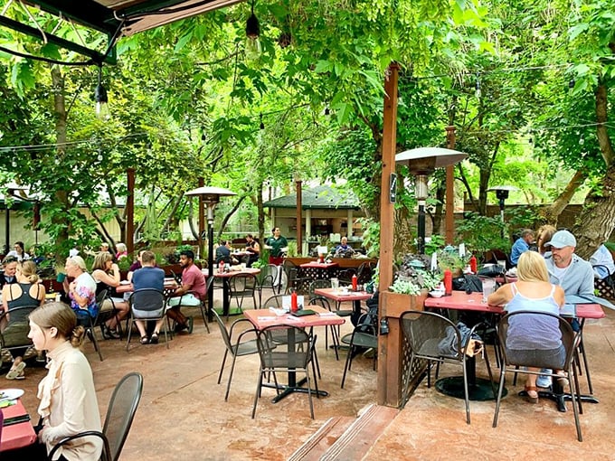 Canyon-side dining where the views compete with the food for your attention (the food usually wins).