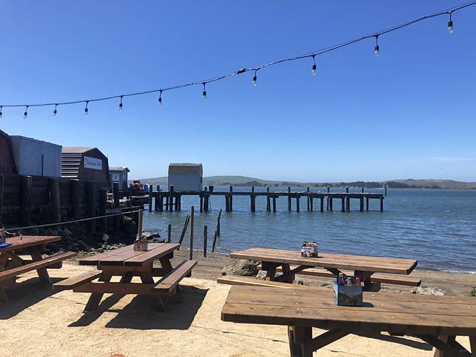 Picnic tables with million-dollar views – where your only dining companions might be seagulls eyeing your chowder with undisguised envy.