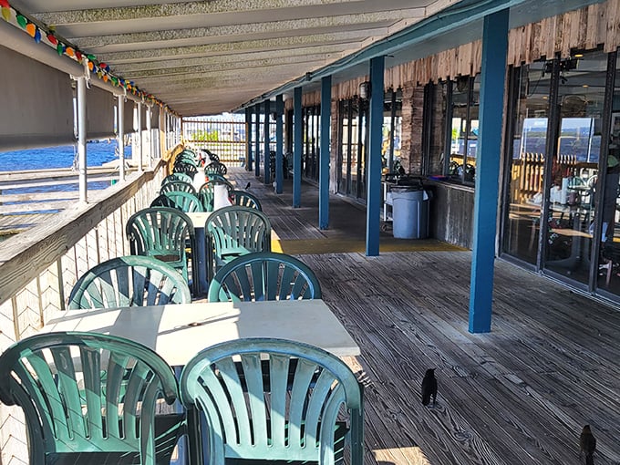 The outdoor deck – where plastic chairs become thrones and every meal feels like a special occasion.