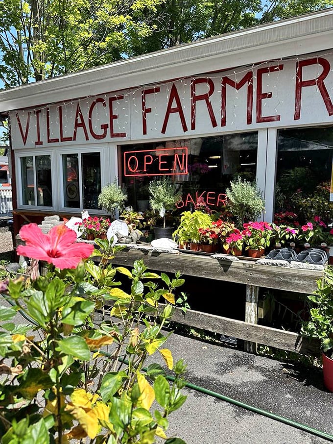 The entrance blooms with welcome, like your favorite aunt's house—if your aunt were an exceptional baker with a green thumb and excellent taste.
