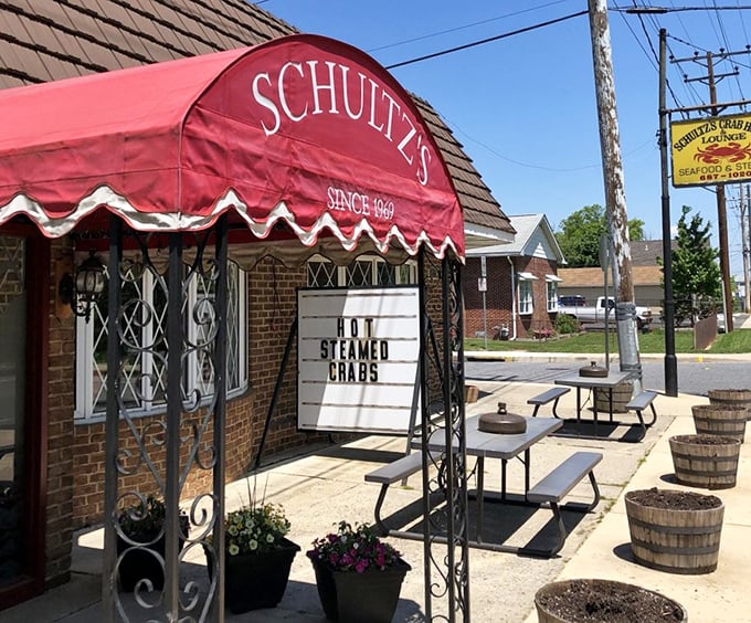 Outdoor seating for those who can't wait to dig in—picnic tables under the Maryland sun where the only acceptable accessory is a roll of paper towels.