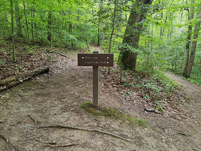 Trail markers: nature's version of "You Are Here" – pointing the way to adventures that won't show up in your email notifications.