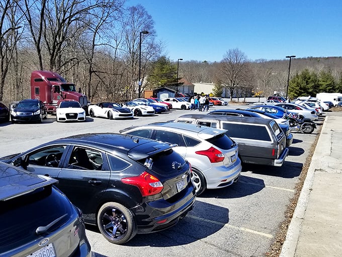 The packed parking lot tells the real story—when bargain hunters and treasure seekers converge, they come prepared to stay awhile.
