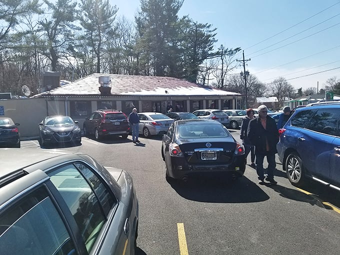The parking lot at peak hours resembles a Delaware drivers' convention – with people willing to circle for spots like sharks sensing breakfast.