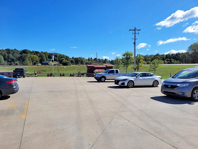 The parking lot view reminds you that some of life's greatest pleasures are found off the beaten path, where GPS signals go to die.